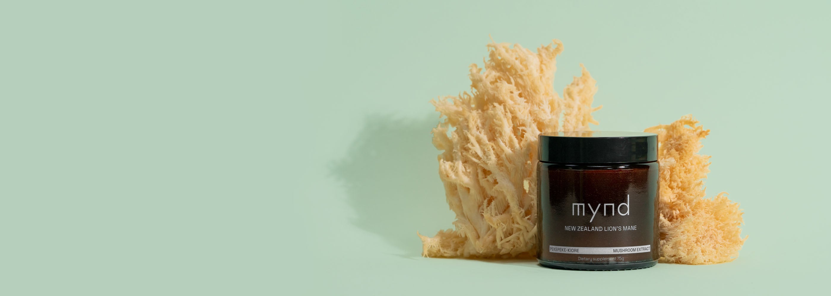 Mynd | NZ Lion's Mane for brain health & performance